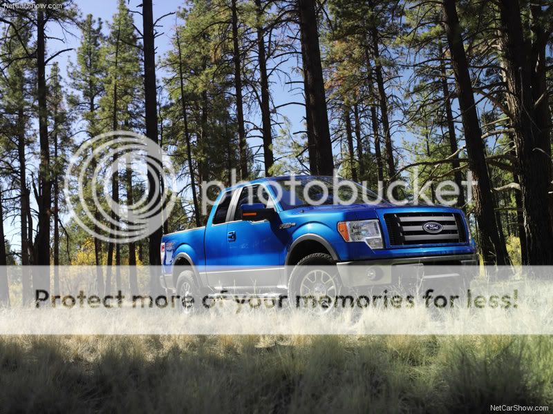 Two-Tone Paint | F-150 Raptor Forums